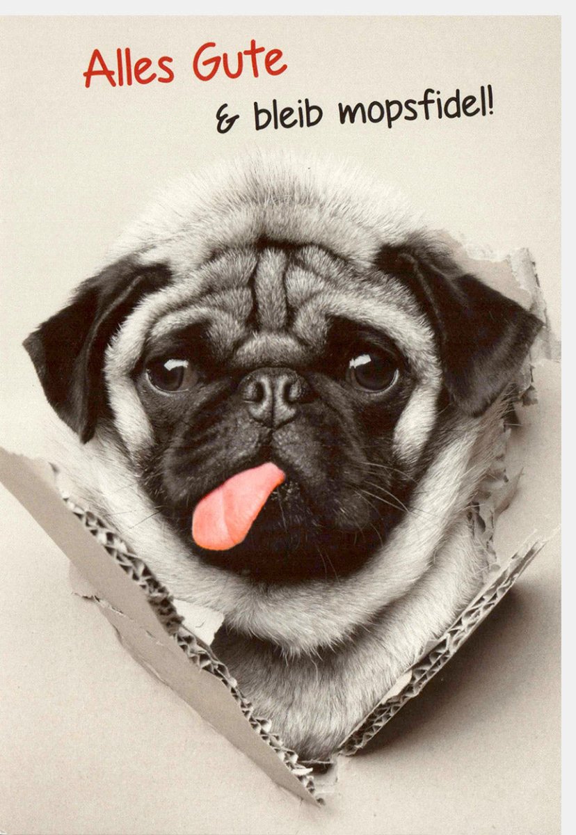 Geburtstagskarte Lustig Mops - Humorvolle Glückwunschkarte mit Witzige ...