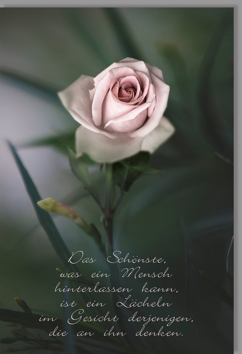 Trauerkarte zur Anteilnahme - Stilvolle Doppelkarte mit Rose, Trostspr ...